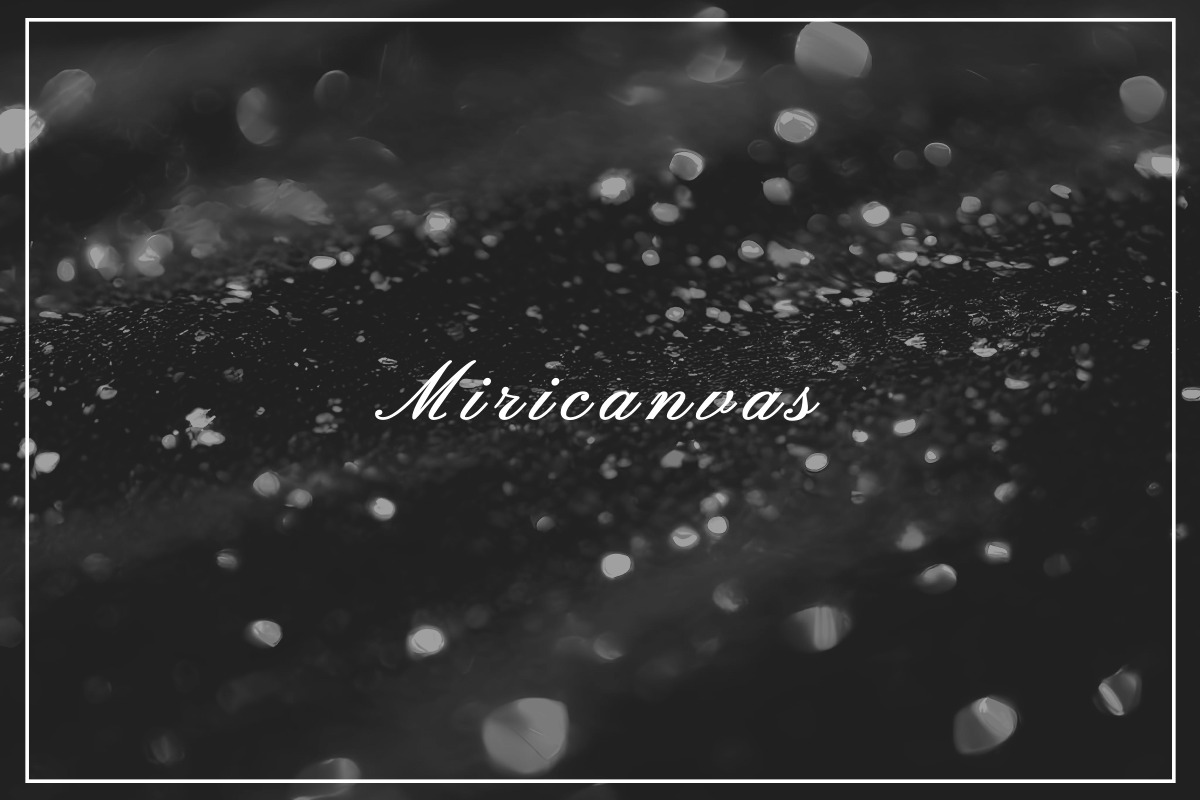 【無料トライアルあり】MiriCanvas Proでできること！有料と無料の違いは？ | soarlog2