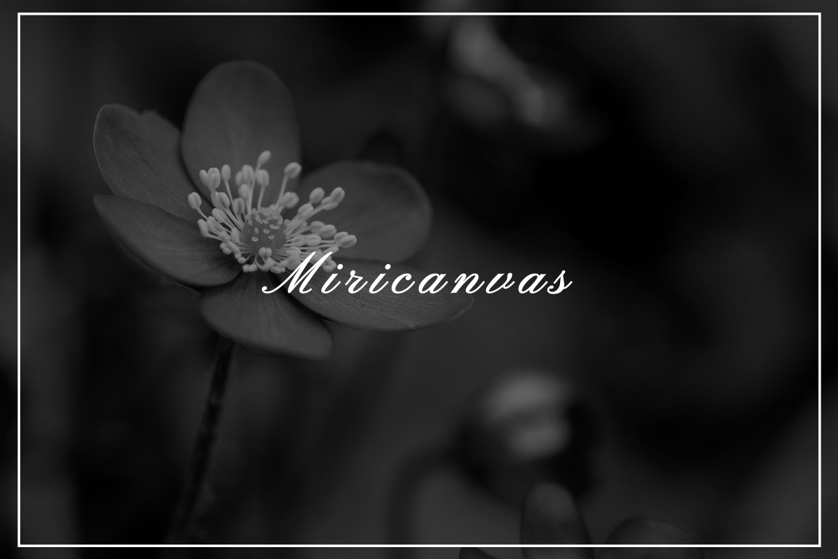 【無料トライアルあり】MiriCanvas Proでできること！有料と無料の違いは？ | soarlog2